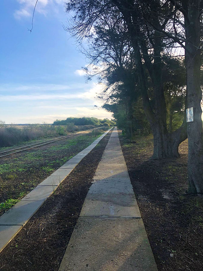 Wandelavonturen: Strand van Barril Route | Saudades de Portugal